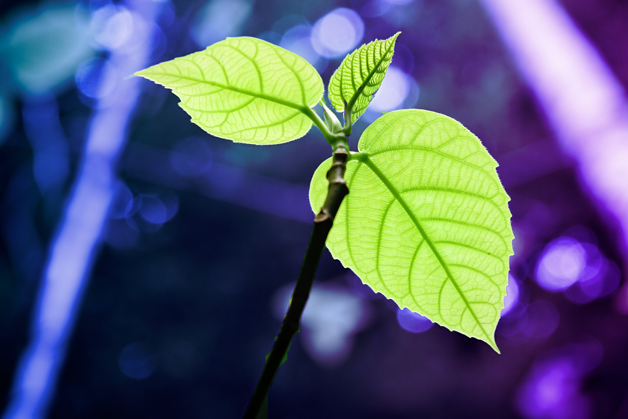 Neue Leitlinien für Finanzinstitute zur Bewertung von ESG-Risiken
